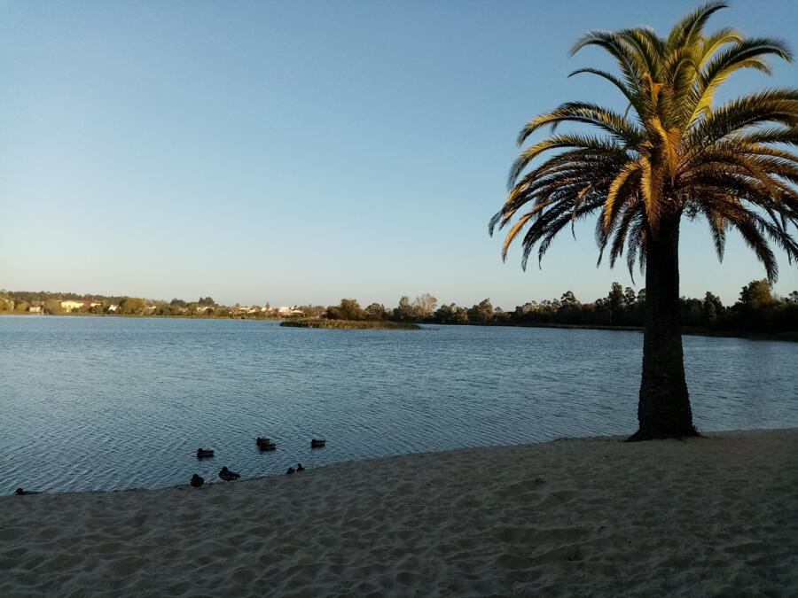 Opiniones Hotel Quinta Da Lagoa - Mira