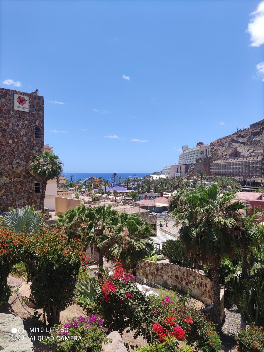 Opiniones Hotel LIVVO Costa Taurito & Aquapark - Playa de Taurito ...