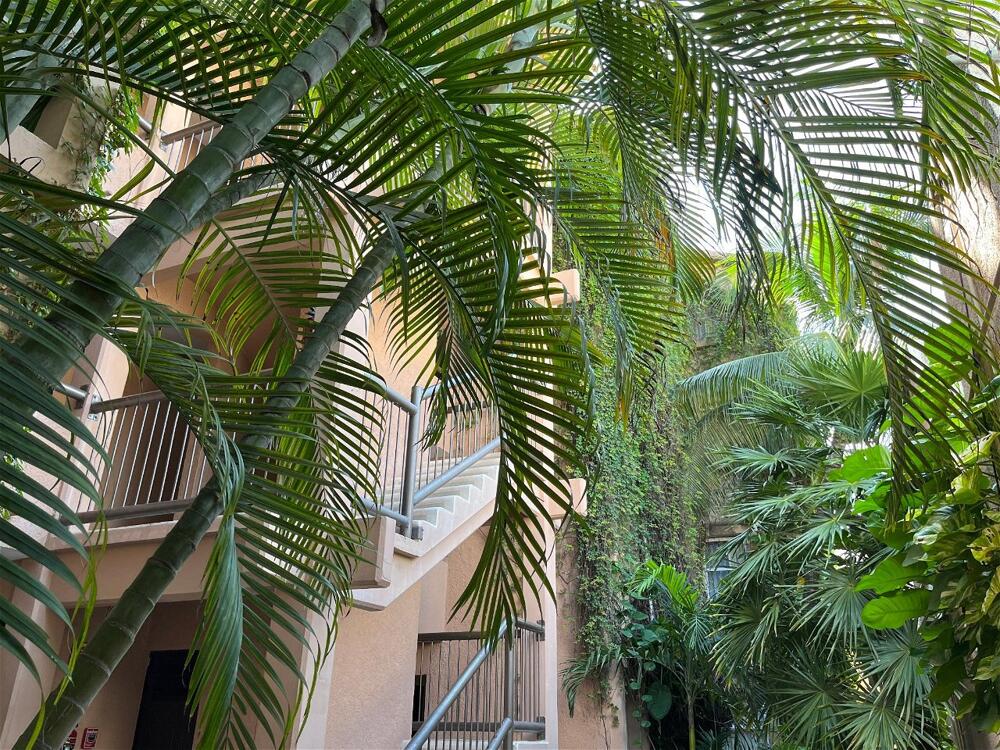 Tukan Hotel Playa del Carmen, Playa del Carmen. Desde 41.55€ - Central ...