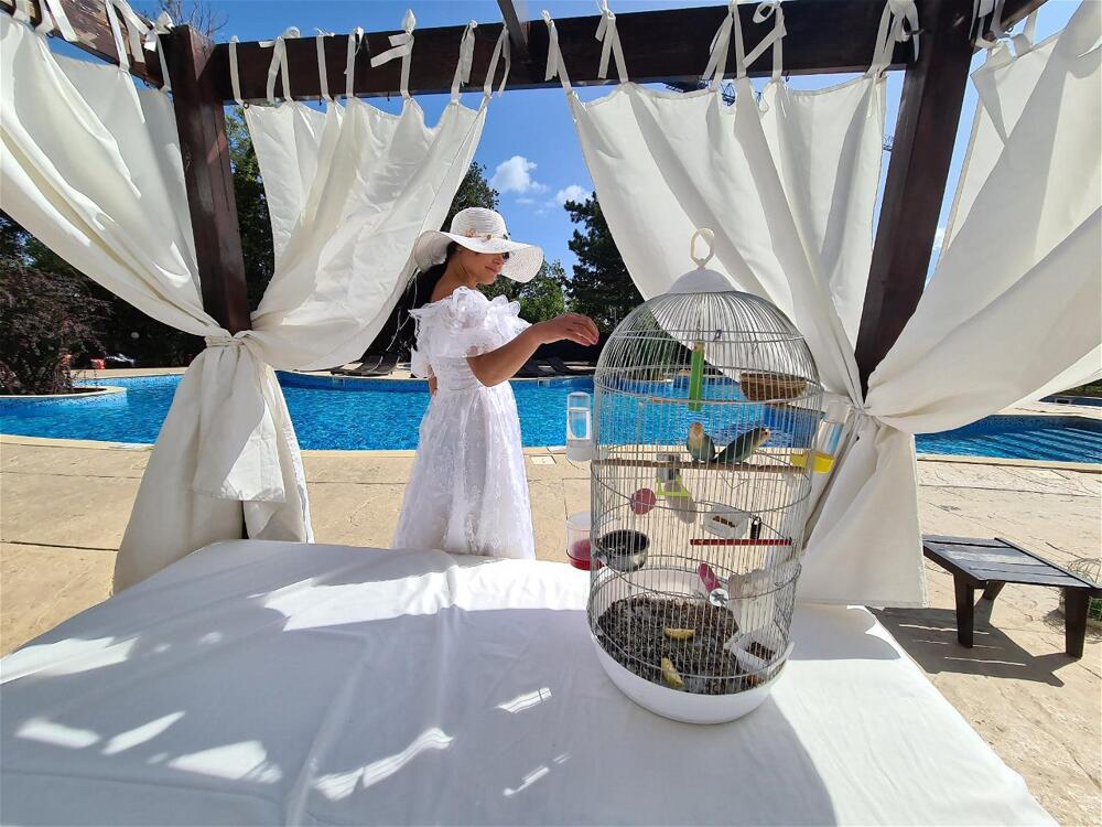 Hotel Apollo Spa Resort, Golden Sands - Central de Reservas