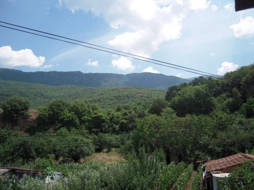 Lile Pestani Accommodation, Pestani - Central de Reservas