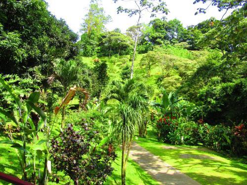 Hotel Agua Inn, Nuevo Arenal - Centraldereservas.com