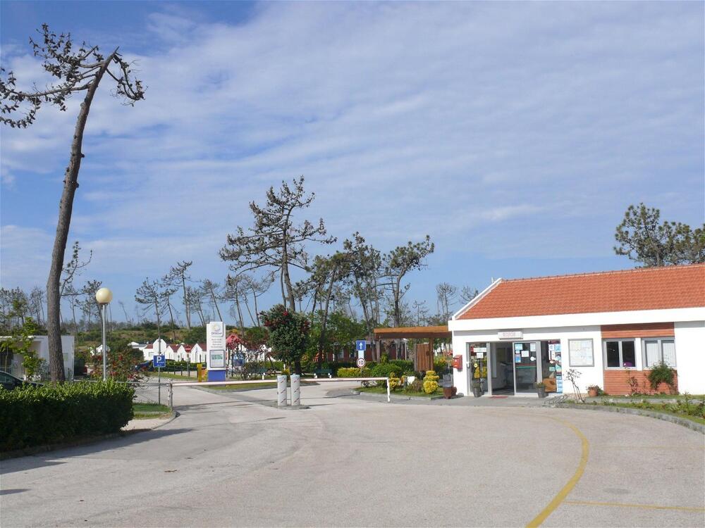 Camping Parque De Campismo Orbitur Gala, Figueira da Foz. Desde 52 ...