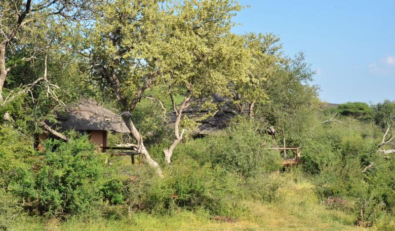 Lodges Motswiri Private Safari Lodge, Madikwe Game Reserve - Central de ...