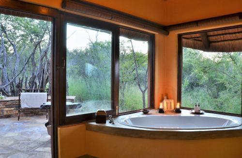 Lodges Motswiri Private Safari Lodge, Madikwe Game Reserve - Central de ...