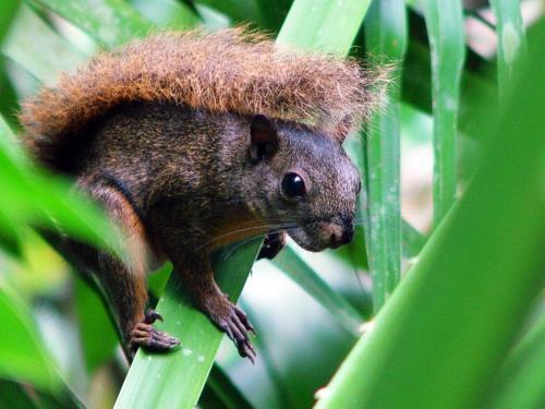 La Casa de Rolando, Puerto Viejo - Centraldereservas.com