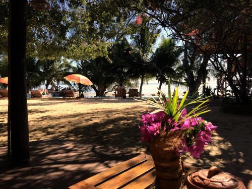 Complejo Bamboo Club Ifaty, Ifaty - Centraldereservas.com