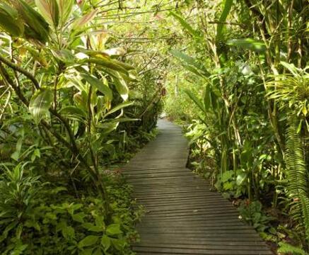 La Casa de Rolando, Puerto Viejo - Central de Reservas