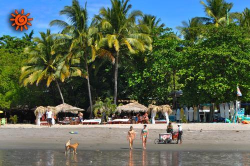 Hotel Locanda Samara Beach, Samara. Desde 97.77€ - Central de Reservas