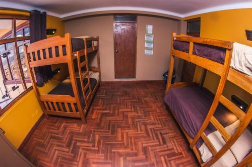 Albergue Wild Rover La Paz, Ciudad La Paz - Central de Reservas