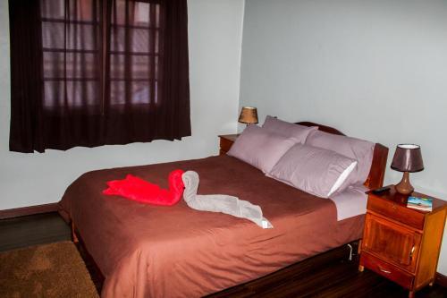 Albergue Wild Rover La Paz, Ciudad La Paz - Central de Reservas