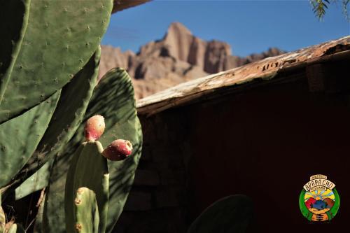 Apapacho Hostel, Tilcara - Central de Reservas