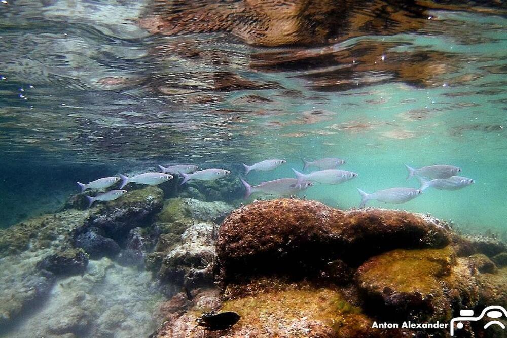 Isamar Hotel, Puerto Villamil - Central de Reservas