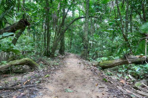 Ecoamazonia Lodge, Puerto Maldonado - Reserving.com