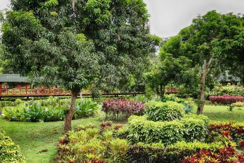 Ecoamazonia Lodge, Puerto Maldonado - Central de Reservas