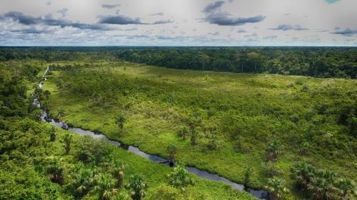 Ecoamazonia Lodge, Puerto Maldonado - Central de Reservas