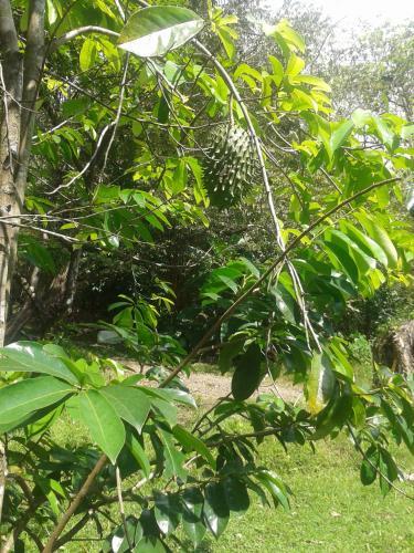 Ecovital Costa Rica Lodge, Playa Hermosa - Central de Reservas