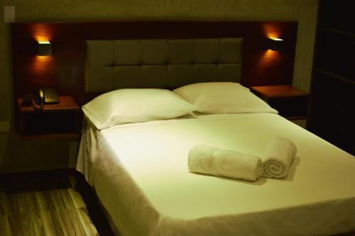 Shushupe Hotel, Tingo María - Central de Reservas