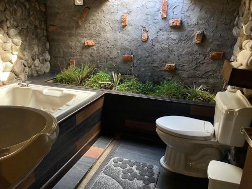 Polylepis Lodge, El Ángel - Central de Reservas