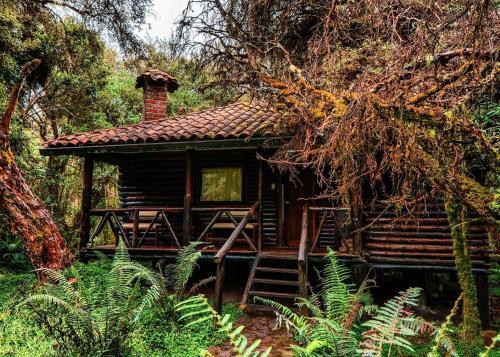 Polylepis Lodge, El Ángel - Central de Reservas