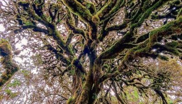 Hoteles en El Ángel, Carchi - Central de Reservas