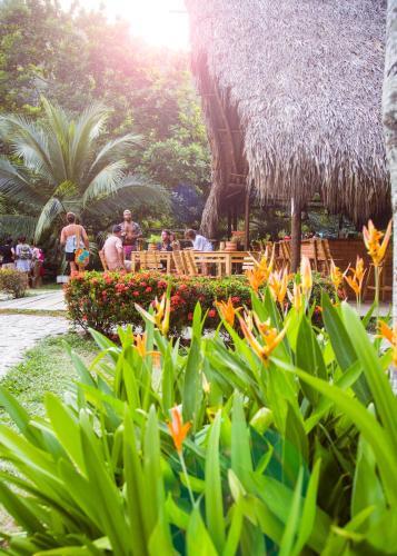 El Rio Hostel, Buritaca - Central de Reservas