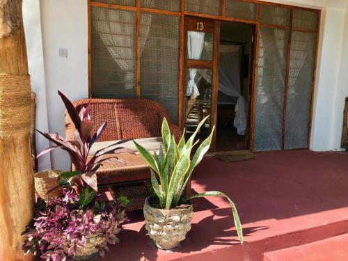 Hotel Promised Land Lodge, Kizimkazi - Centraldereservas.com