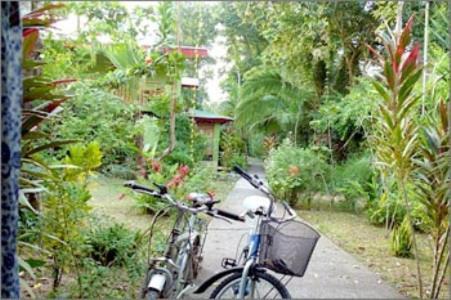 Hotel Blue Conga, Puerto Viejo - Central de Reservas