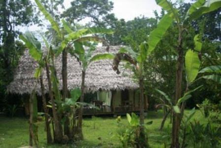 Hotel Blue Conga, Puerto Viejo - Central de Reservas