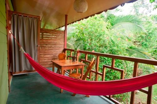 Hotel Blue Conga, Puerto Viejo - Central de Reservas