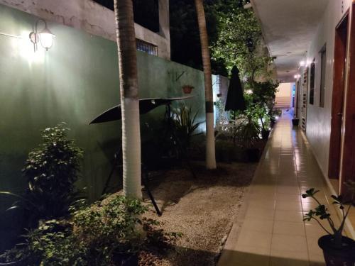 Hotel Santa Isabel, Ciudad del Carmen - Centraldereservas.com