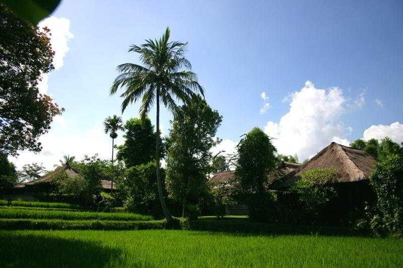 Complejo Ananda Ubud Resort, Ubud - Central de Reservas