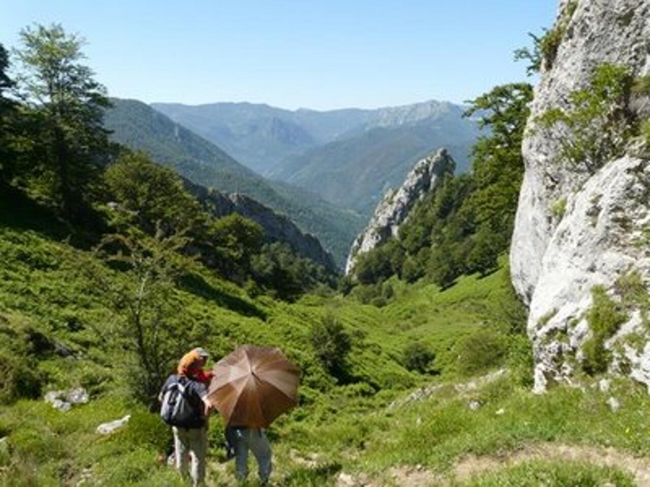 Parque Natural de Redes - Central de Reservas