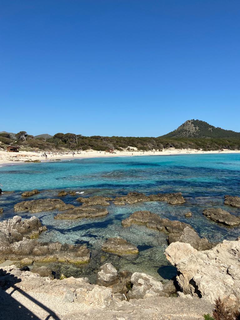 Hoteles en Cala Rajada, Isla de Mallorca - Tu Hotel en ...
