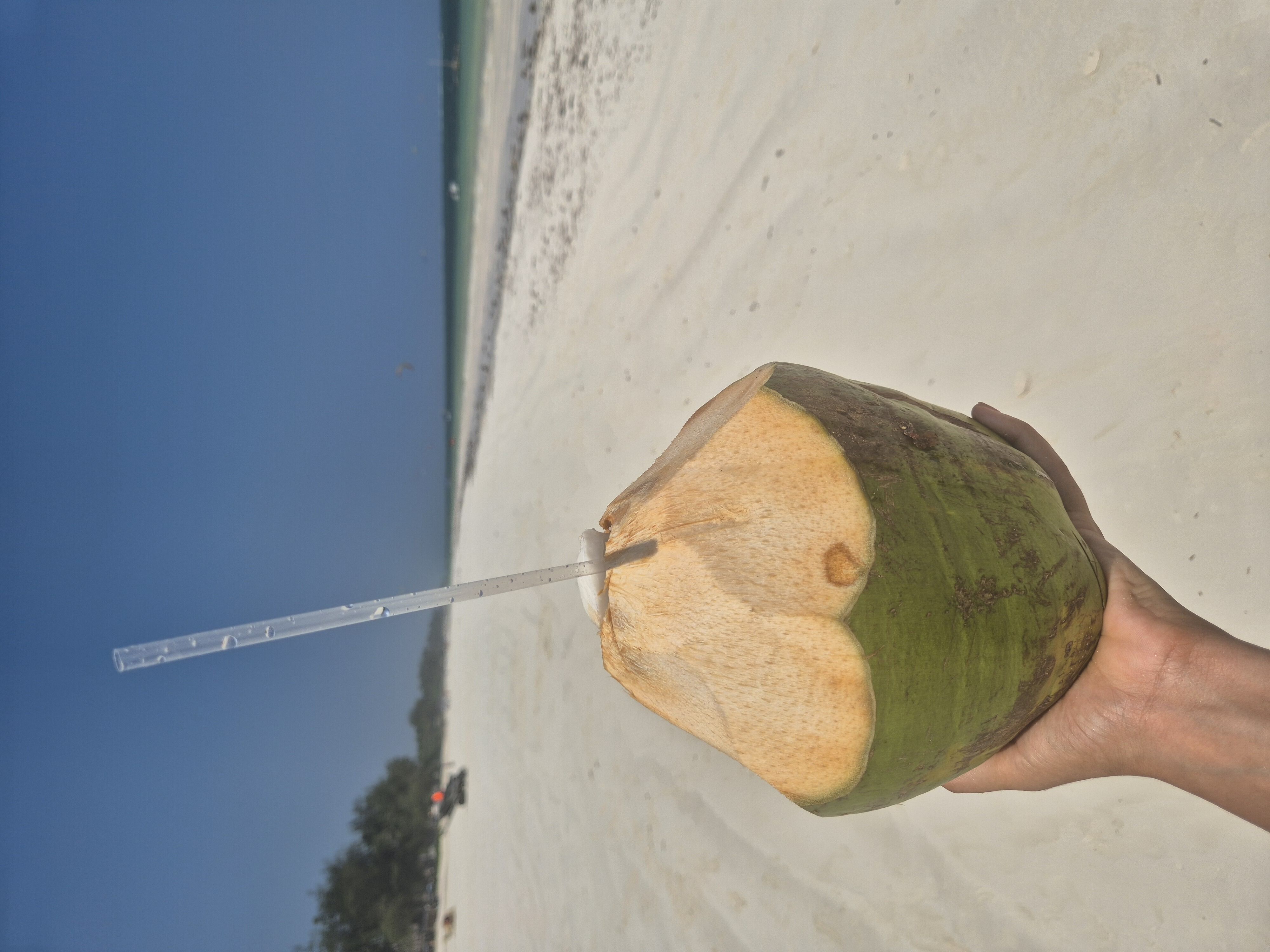 5 opiniones de viajeros sobre Diani Beach, Kwale - Central de Reservas