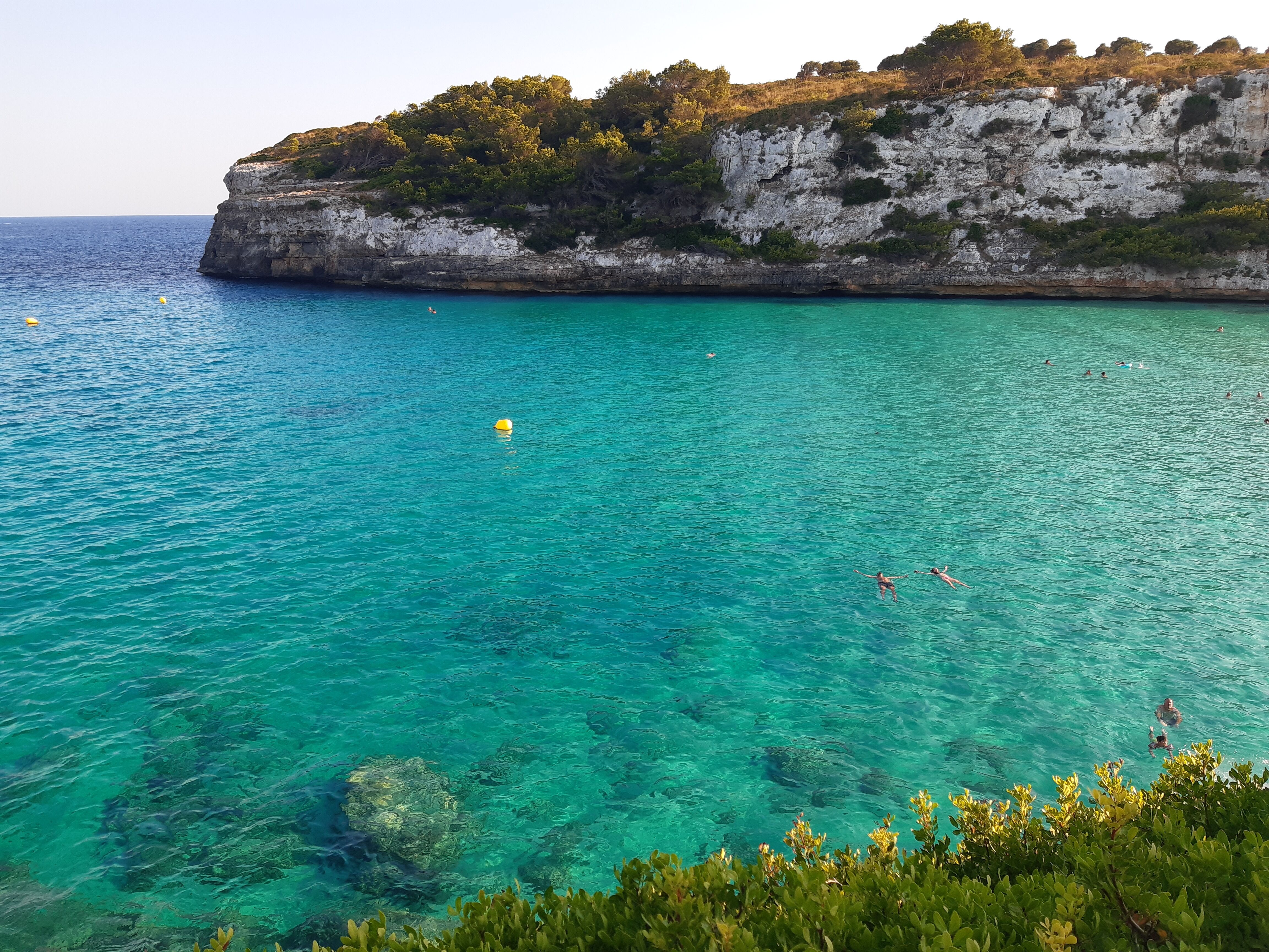 Traveler Reviews on Magaluf, Majorca - Reserving